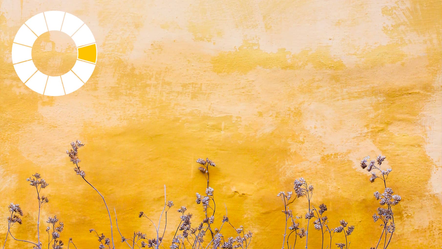 Cómo elegir la paleta cromática de una web | The Interactive Studio ...