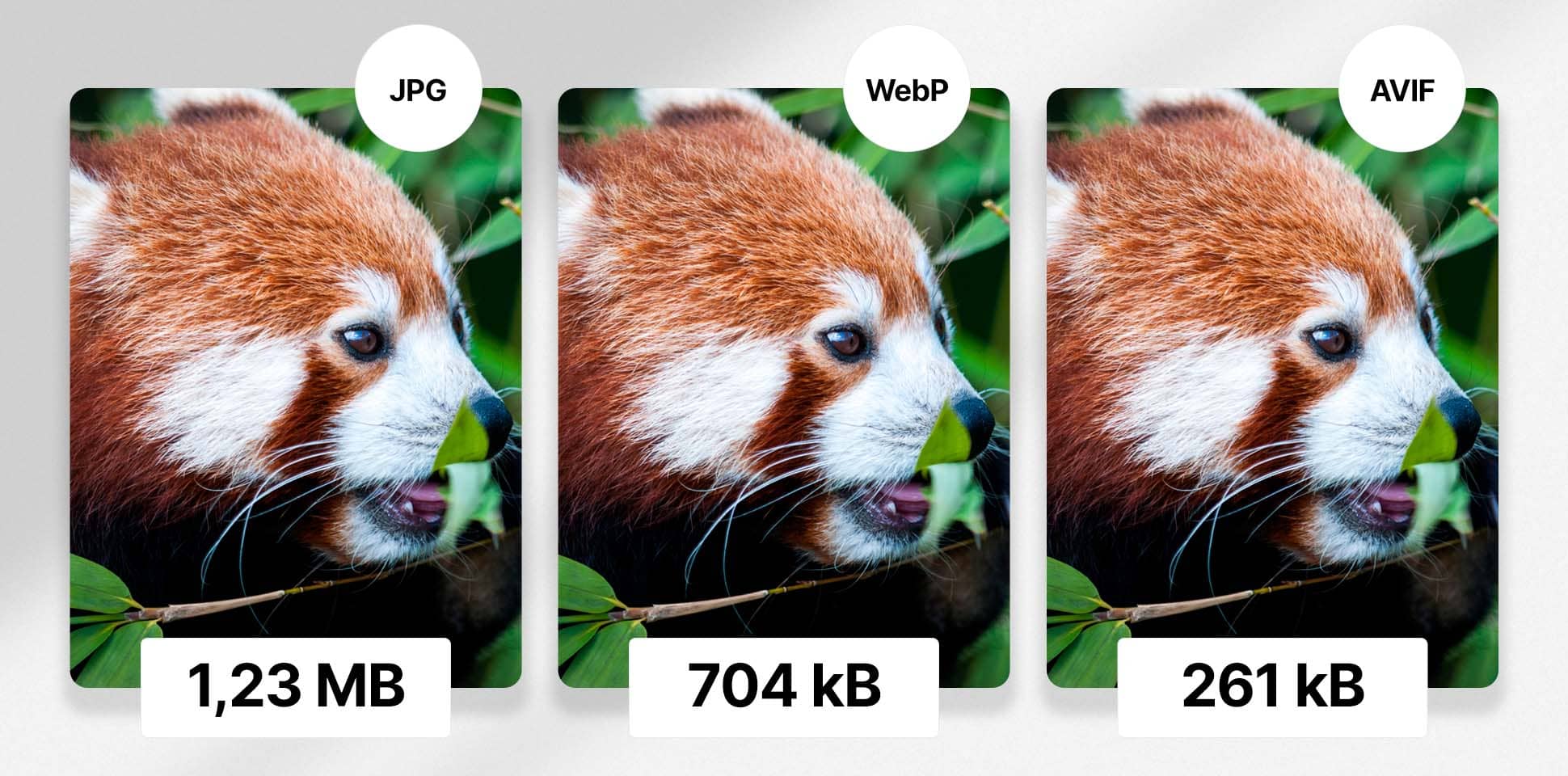 WebP y AVIF, los nuevos formatos de imagen que deberías usar en tu web | The Interactive Studio ...